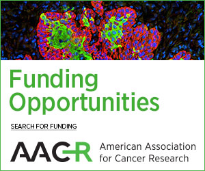 New Research Funding Opportunities Available | CancerCareers.org